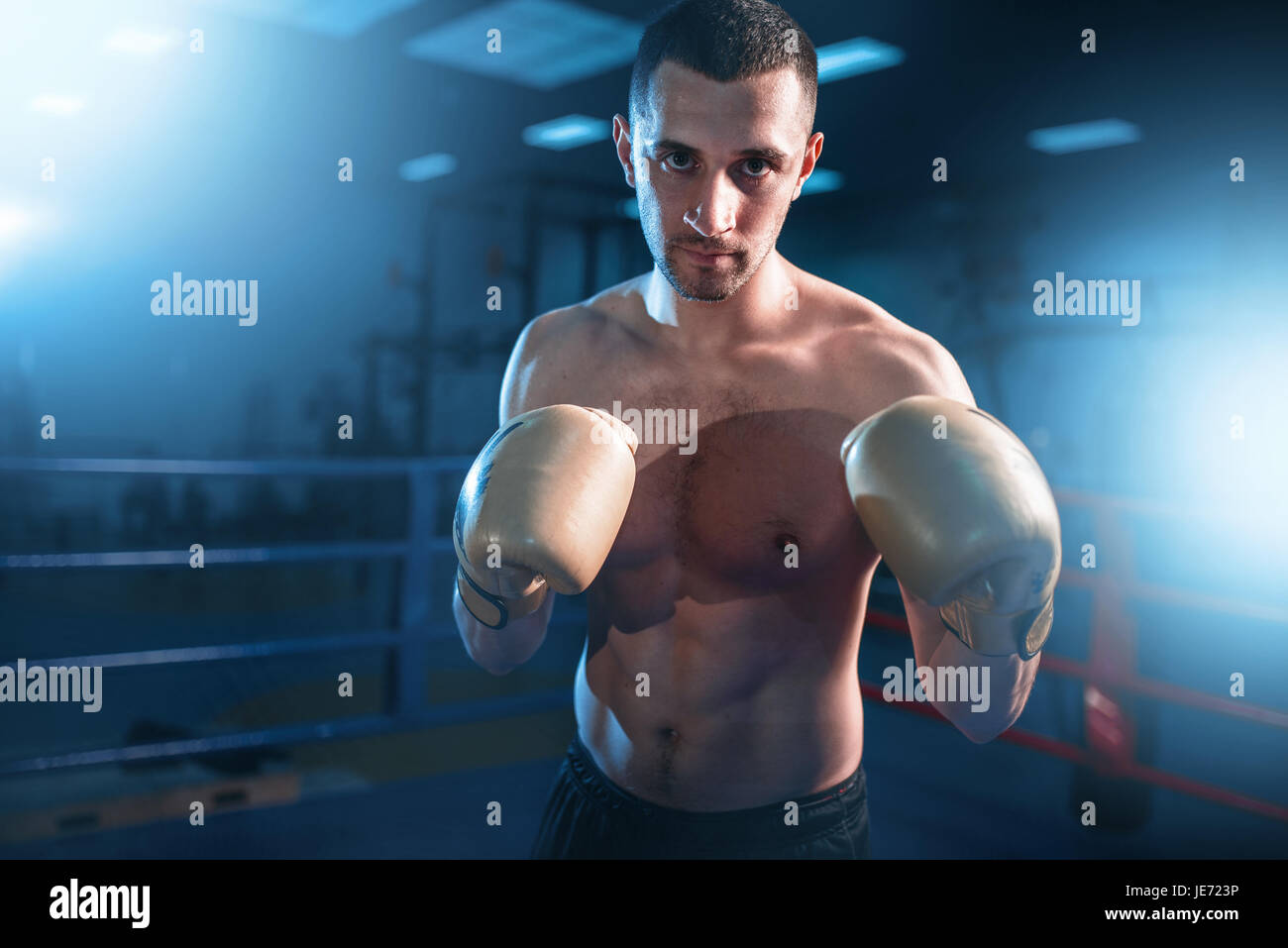 Portrait of muscular boxer in black gloves. Boxing workout, mens sport ...