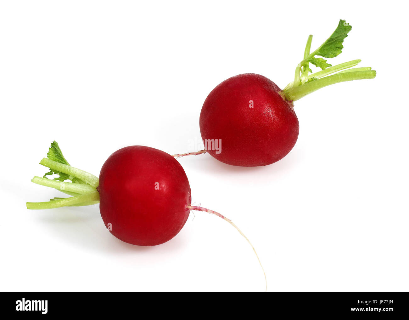 Garden radish, Raphanus sativus, white background Stock Photo - Alamy