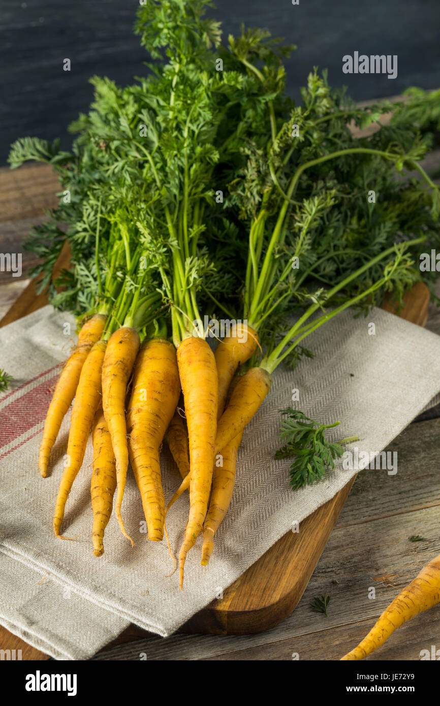 Carrot stems hi-res stock photography and images - Alamy