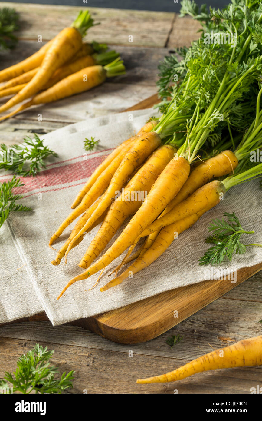 Carrot stems hi-res stock photography and images - Alamy