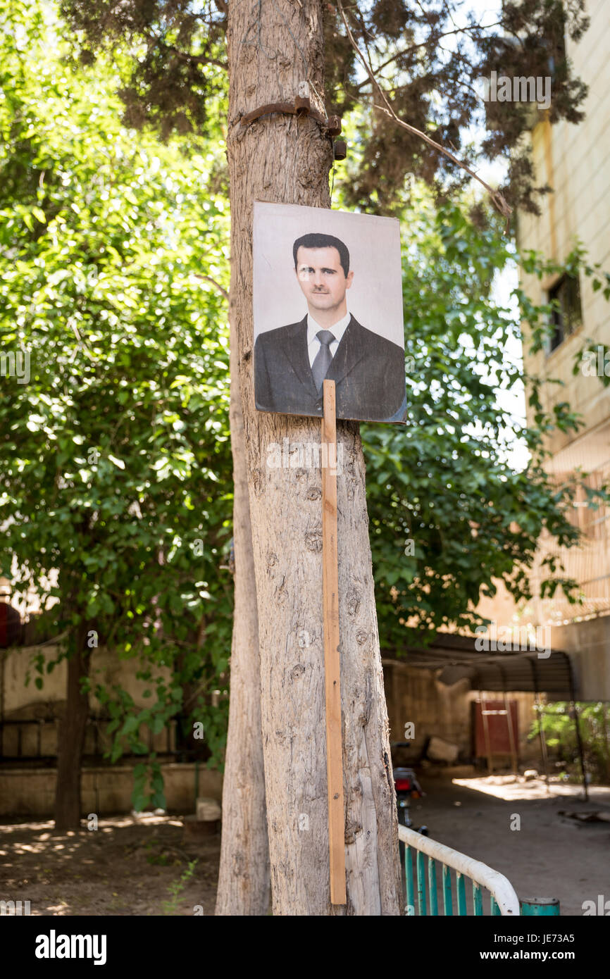 Portrait of President Bashar Hafez al-Assad on a tree at the Hasakeh ...