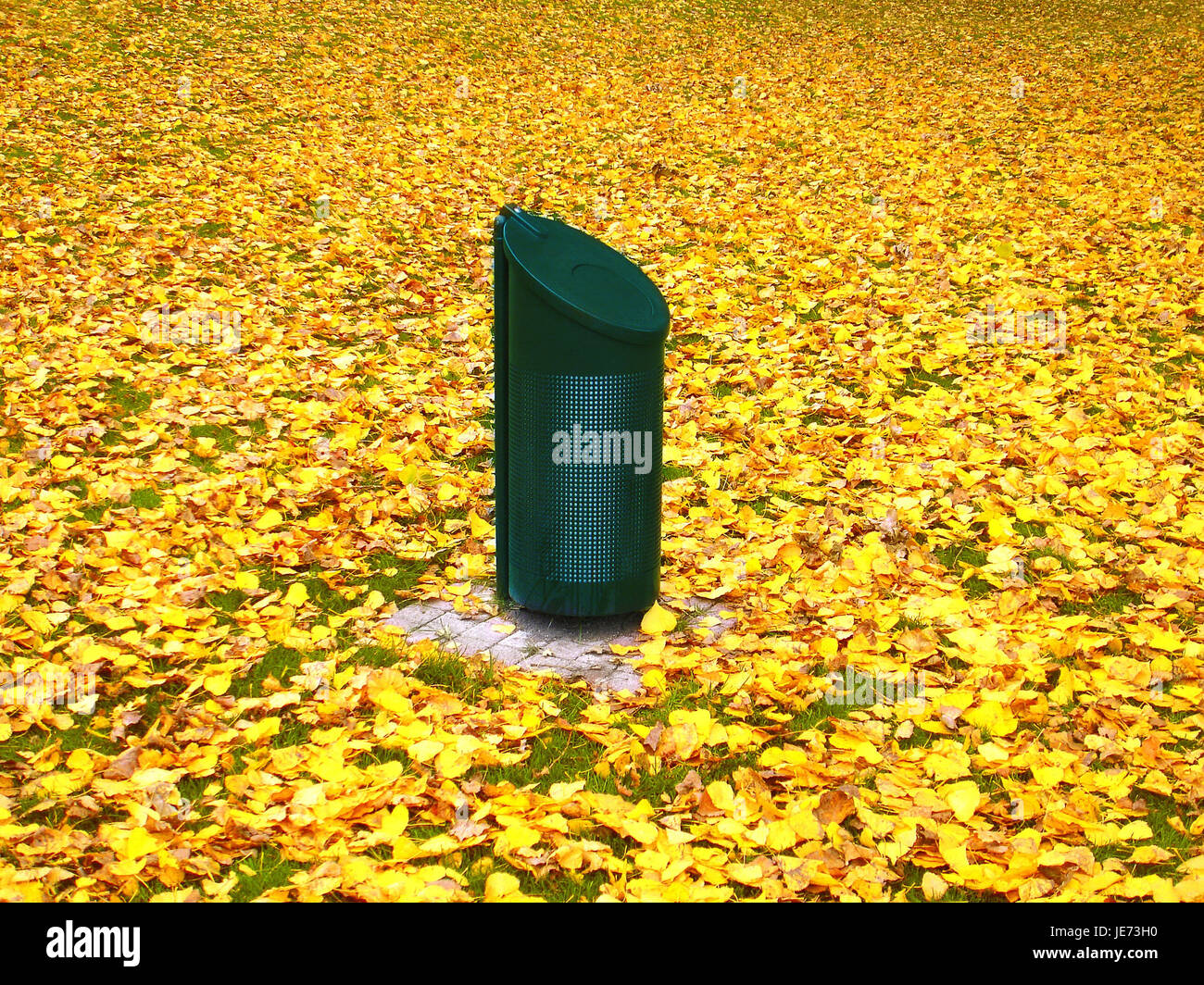 Garbage can on meadow with autumn foliage Stock Photo - Alamy