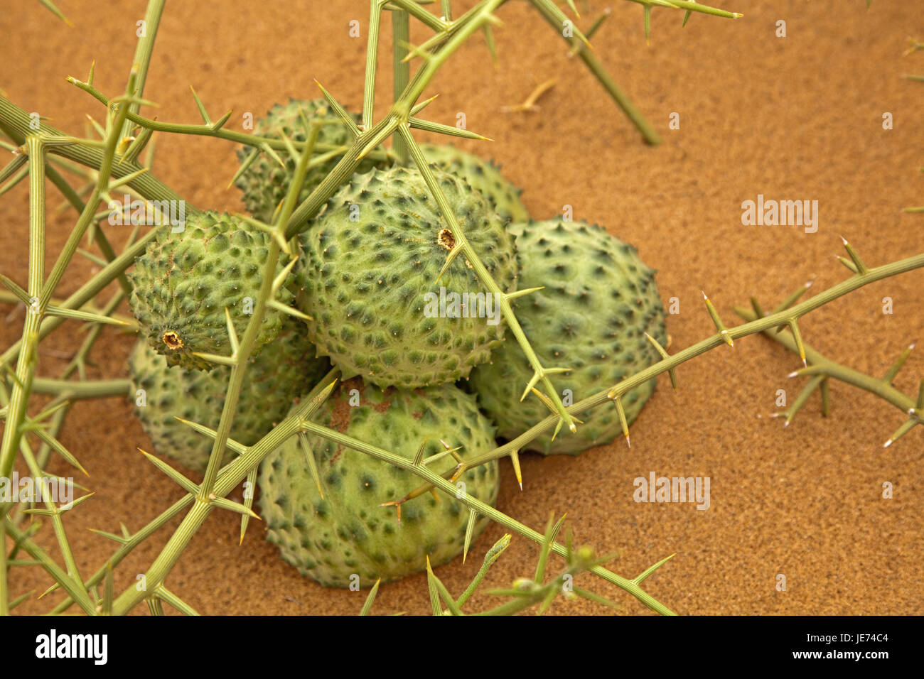 Desert with fruits hi-res stock photography and images - Alamy