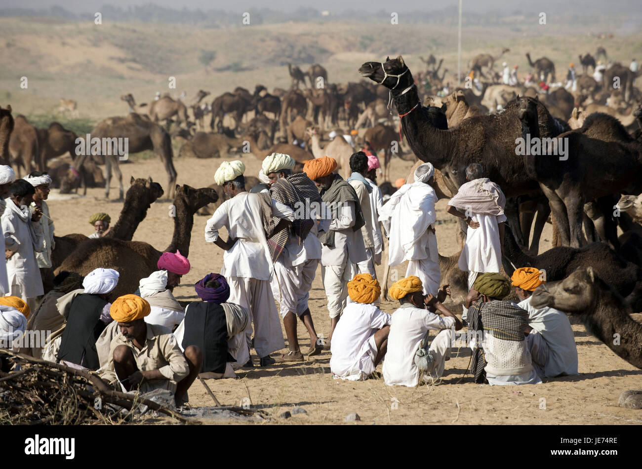 Blockhead Animals High Resolution Stock Photography and Images - Alamy