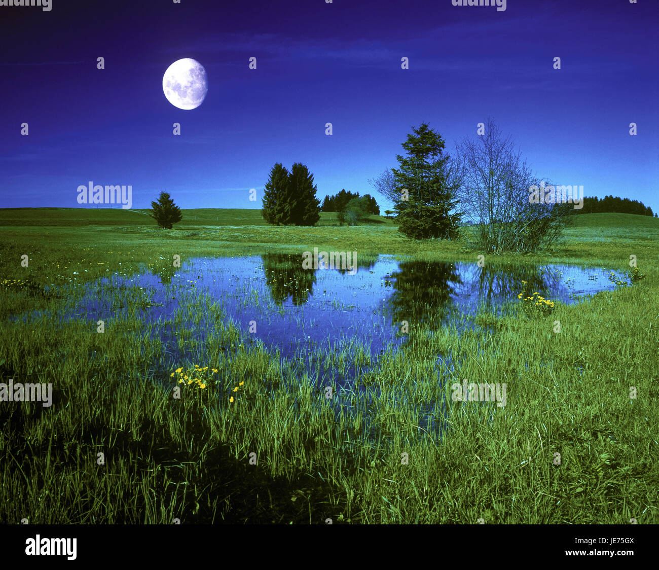 Halblech hi-res stock photography and images - Alamy