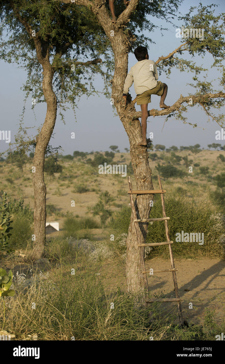 Child climbing tree asia hi-res stock photography and images - Alamy