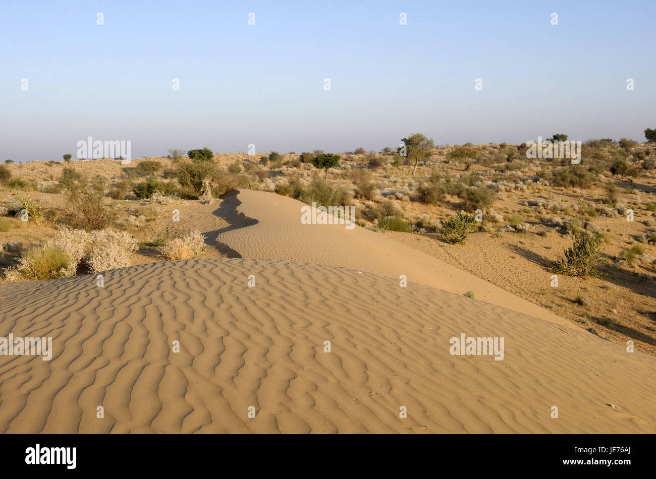 India, Rajasthan, desert of Thar Stock Photo - Alamy
