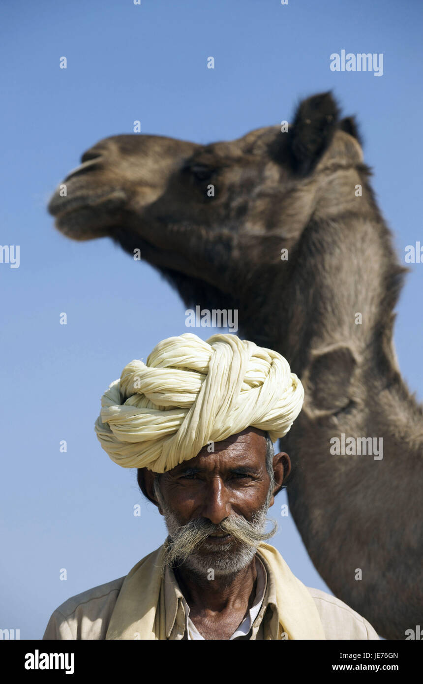 Blockhead Animals High Resolution Stock Photography and Images - Alamy