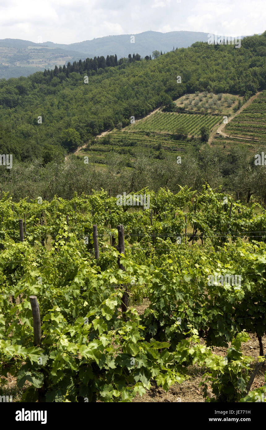 Chianti wine region, tuscany hi-res stock photography and images - Alamy