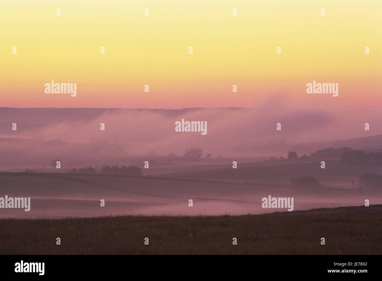 Great Britain, England, Northumbria, scenery, fog, red sky, Europe ...