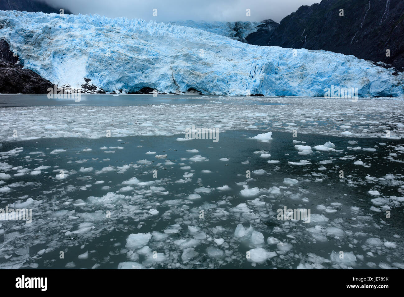 Ice calves off edge of blue glacier splashing into the ocean Stock ...