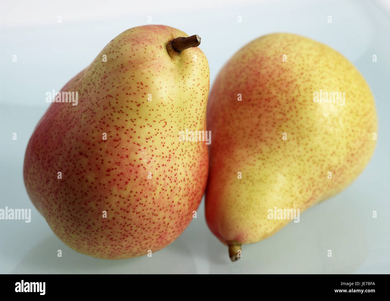 Rosemarie pear, Pyrus communis Stock Photo - Alamy