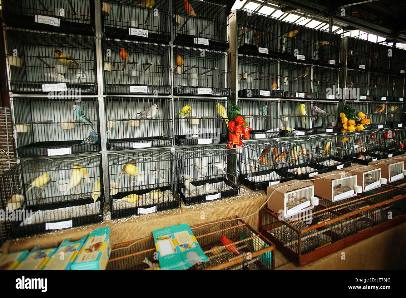 Zoo cages hi-res stock photography and images - Alamy