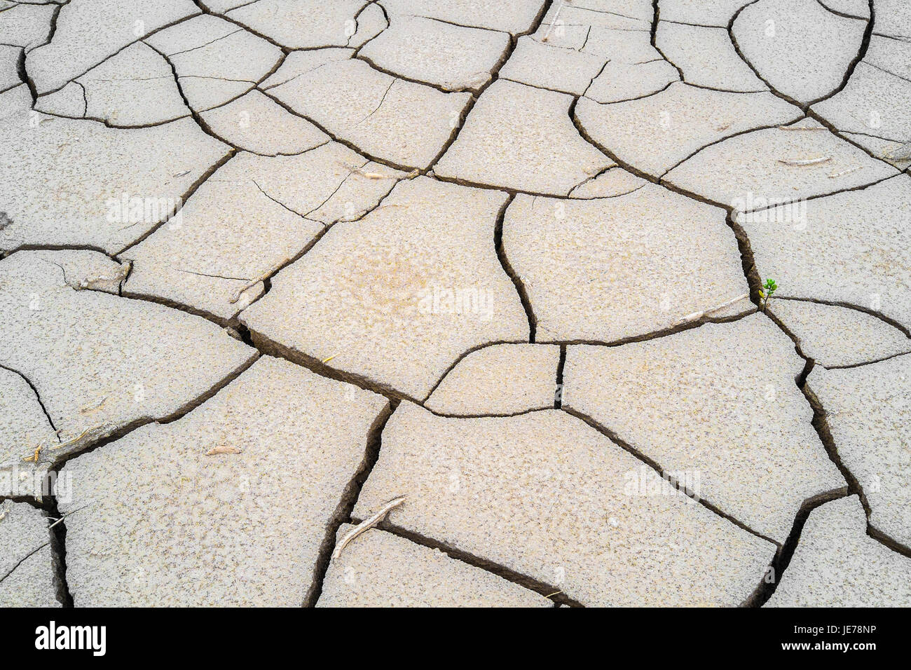 Cracks in ground macro close hi-res stock photography and images - Alamy