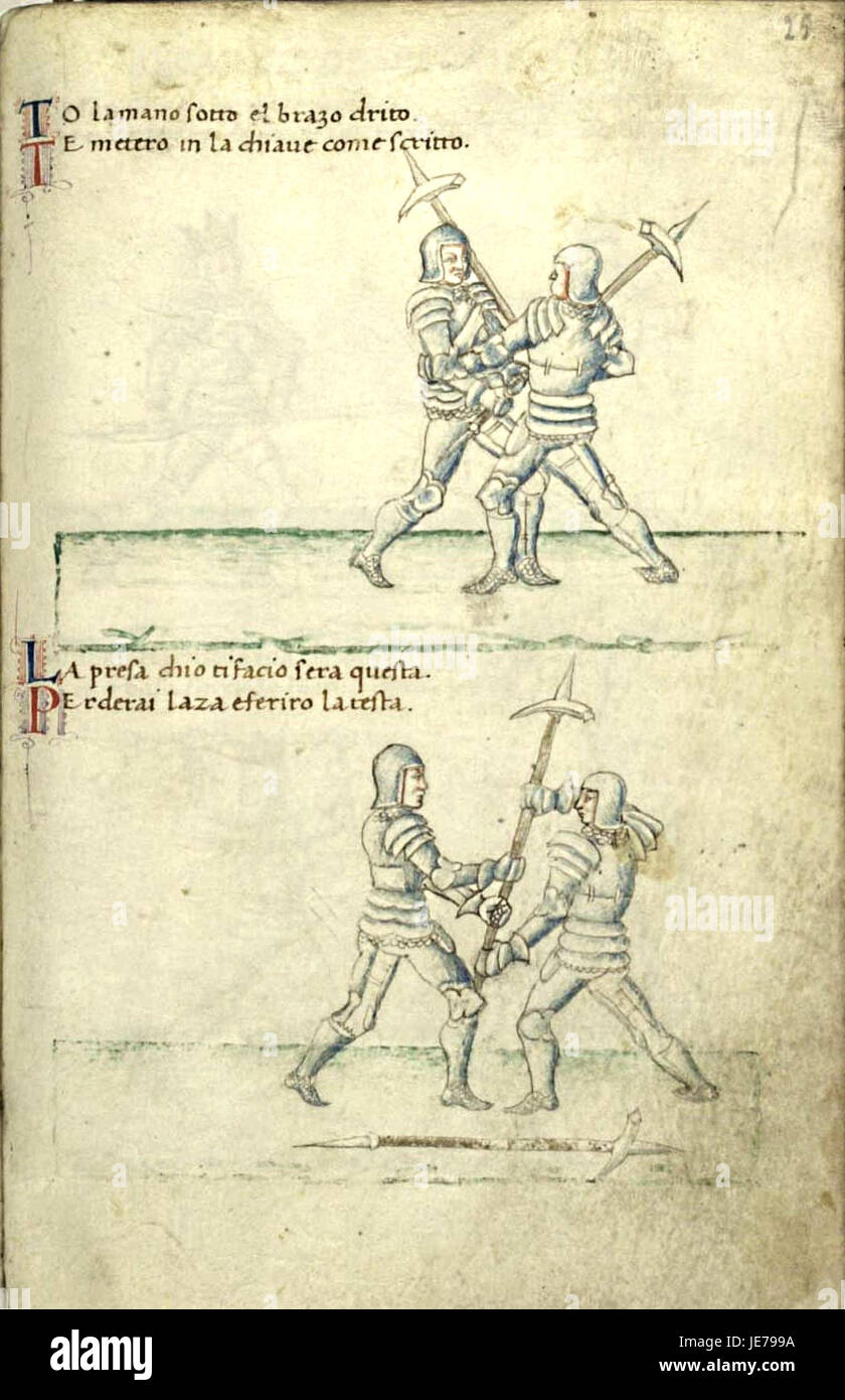 Codex 1324, folio 25r, is a manuscript page showcasing medieval script ...