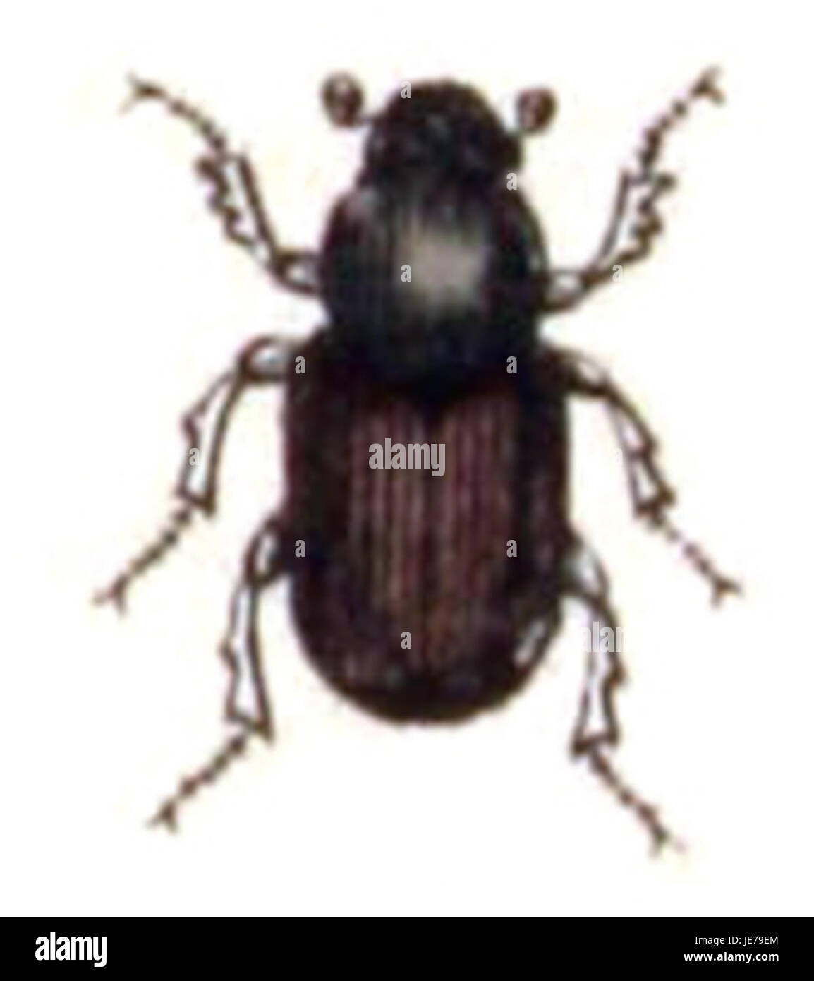 21 15 hi-res stock photography and images - Alamy