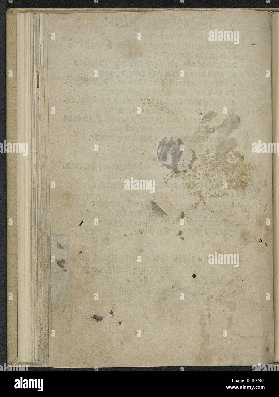 The 'Des edlen Ritter Morgeners' manuscript, page 52, showcases a ...