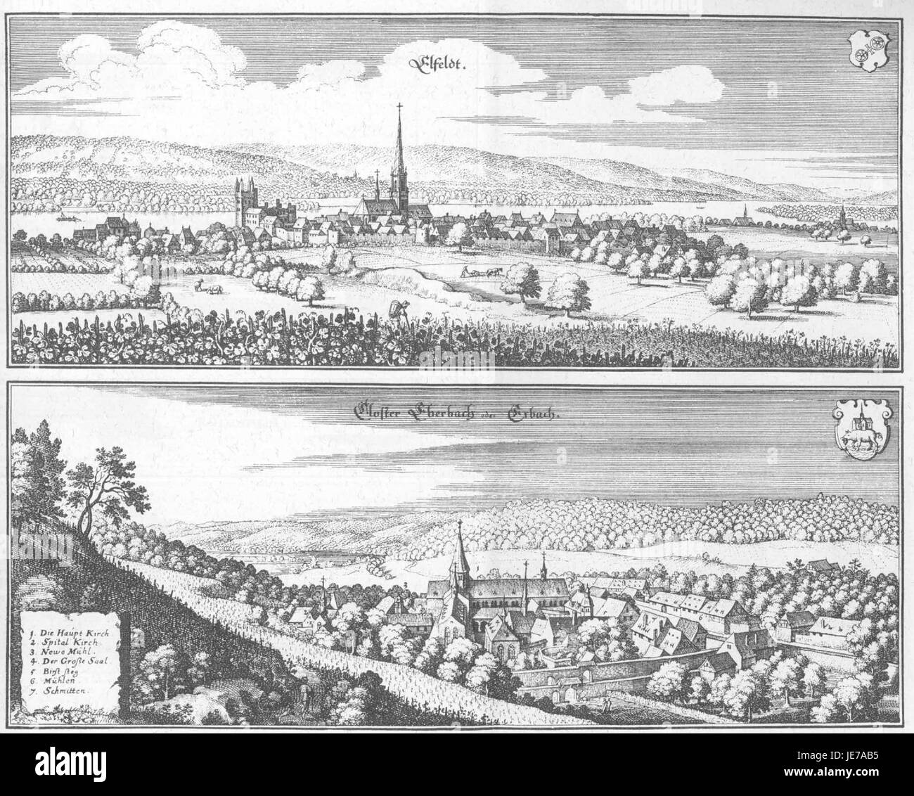 Accurate illustrations Black and White Stock Photos & Images - Alamy