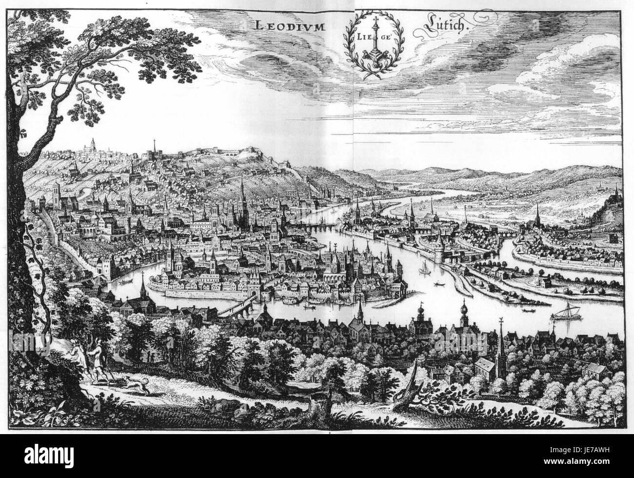 This is an illustration from the *De Merian Westphaliae*, showcasing ...