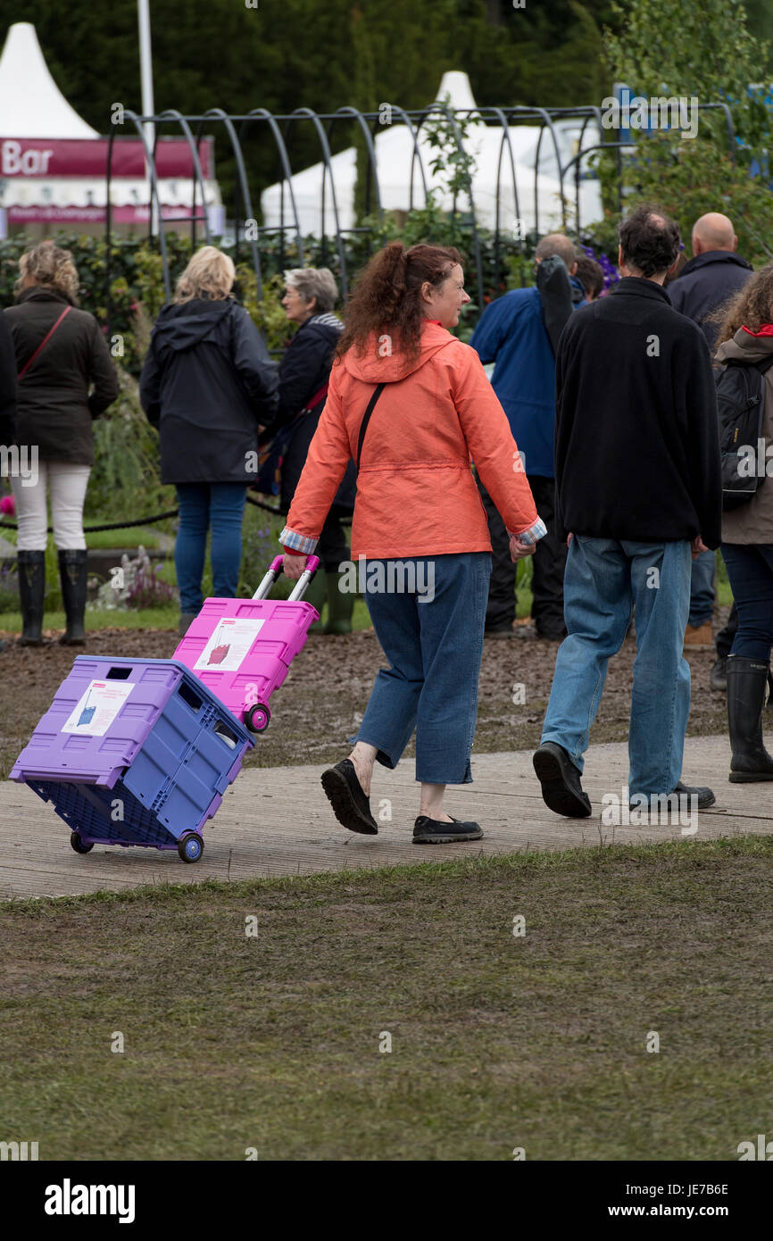 Pulling Shopping Trolley High Resolution Stock Photography and Images ...