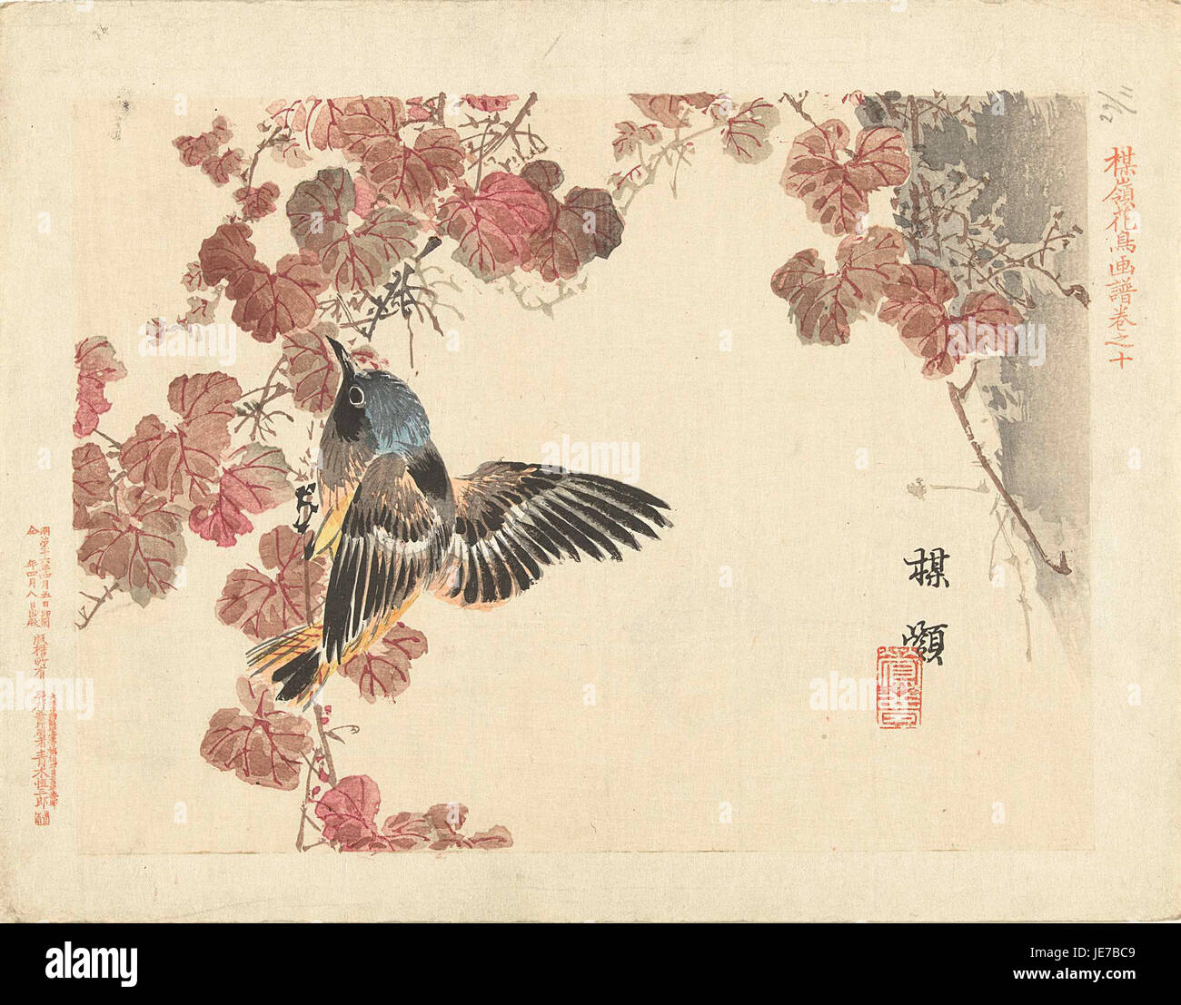 A bird perched on a vine with vibrant red leaves, showcasing the ...