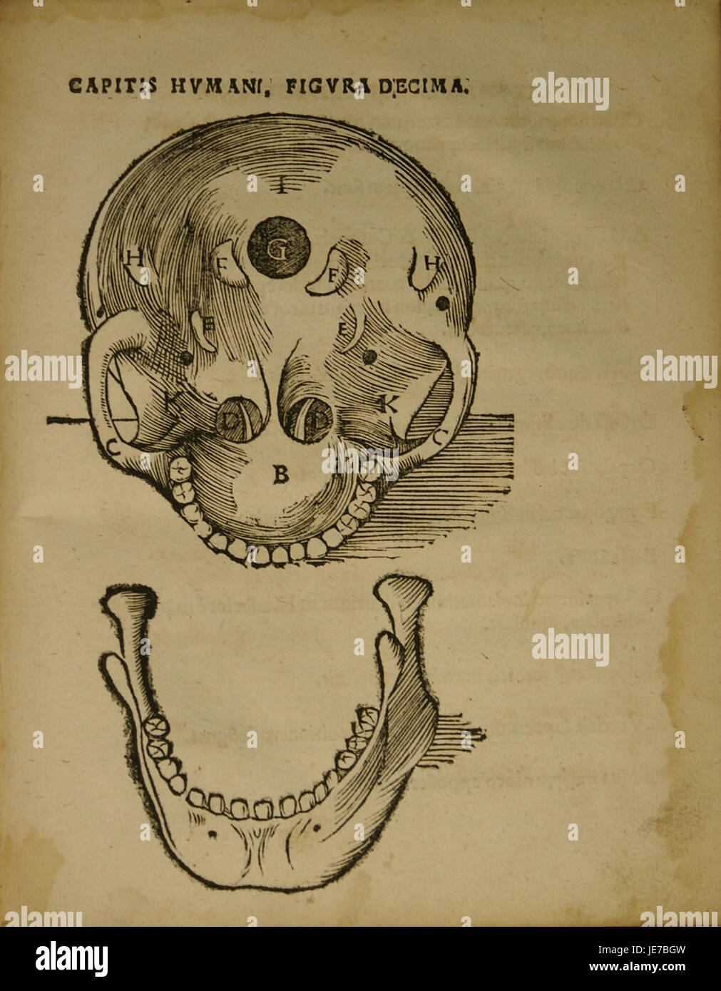 'Dryander Anatomiae Pars Prior 0476' is part of the anatomical treatise ...