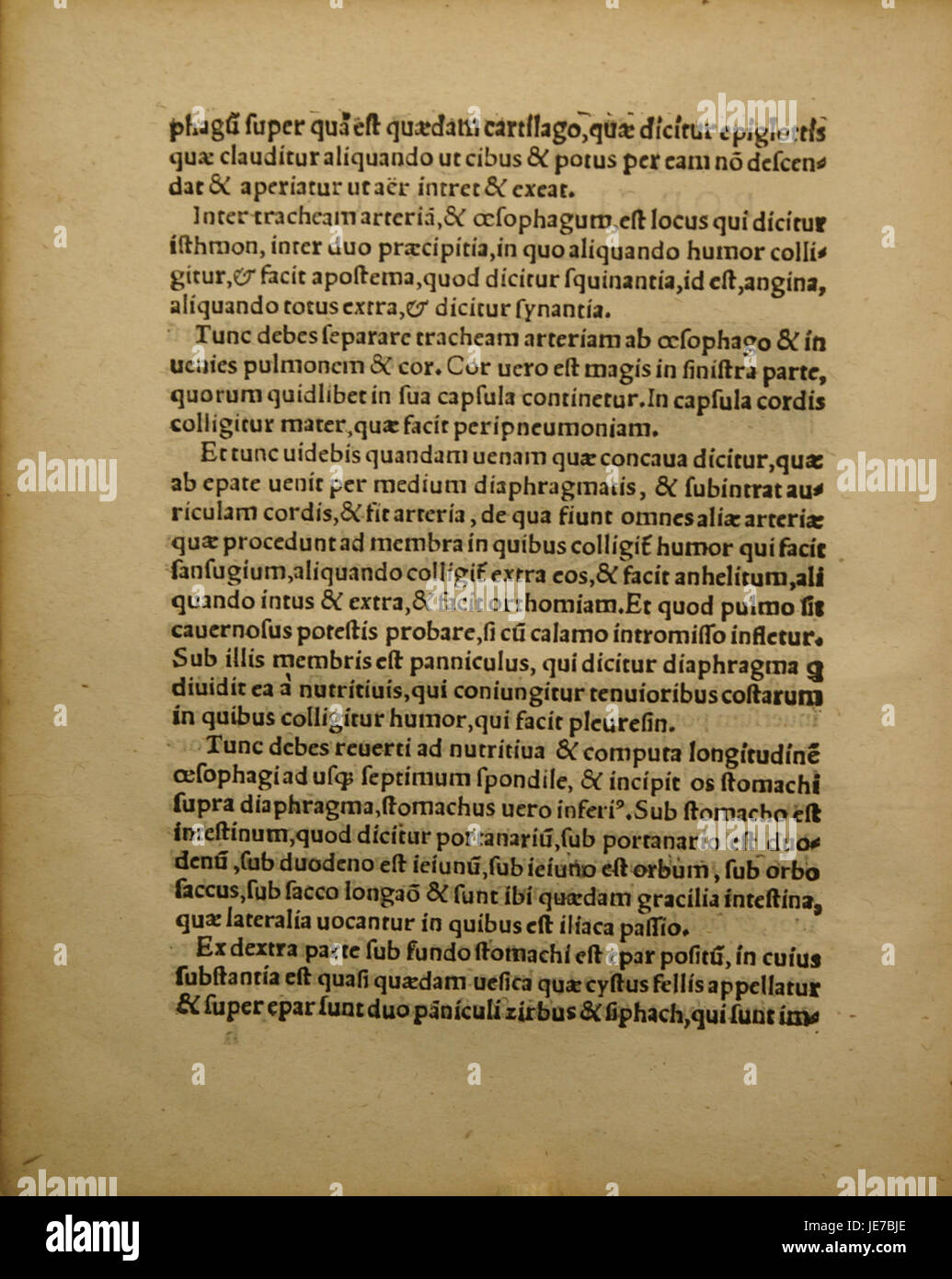 This illustration from Dryander’s *Anatomiae Pars Prior* is part of a ...