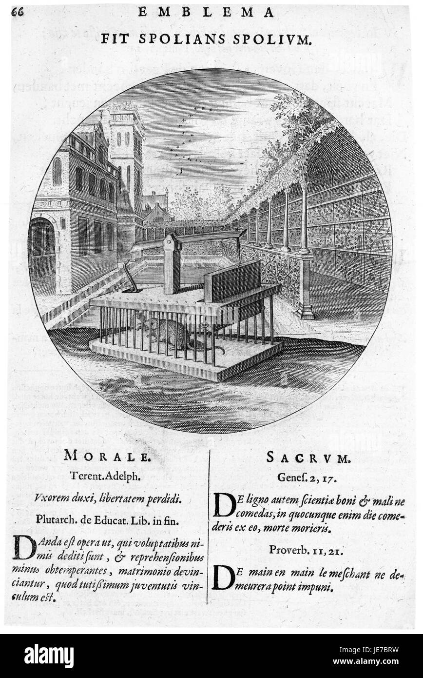 A portrait of a cat titled *Monita*, dating from 1620. The artwork ...