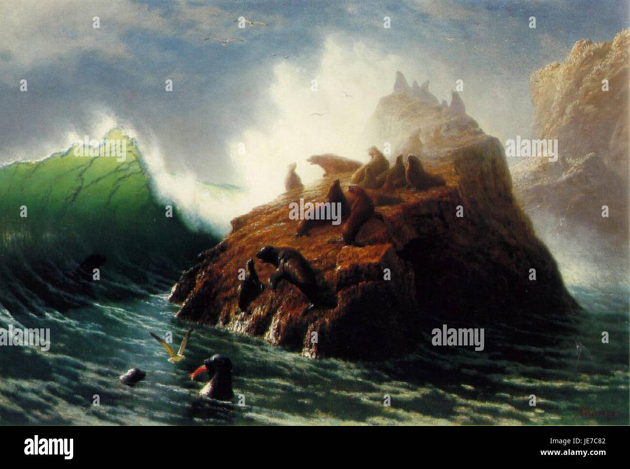 Map of seal rock hi-res stock photography and images - Alamy