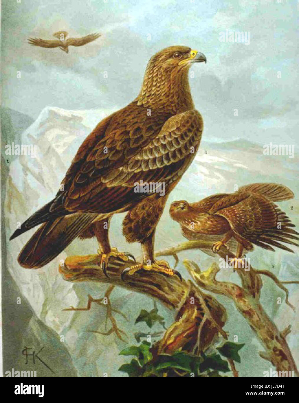 Aquila map hi-res stock photography and images - Alamy