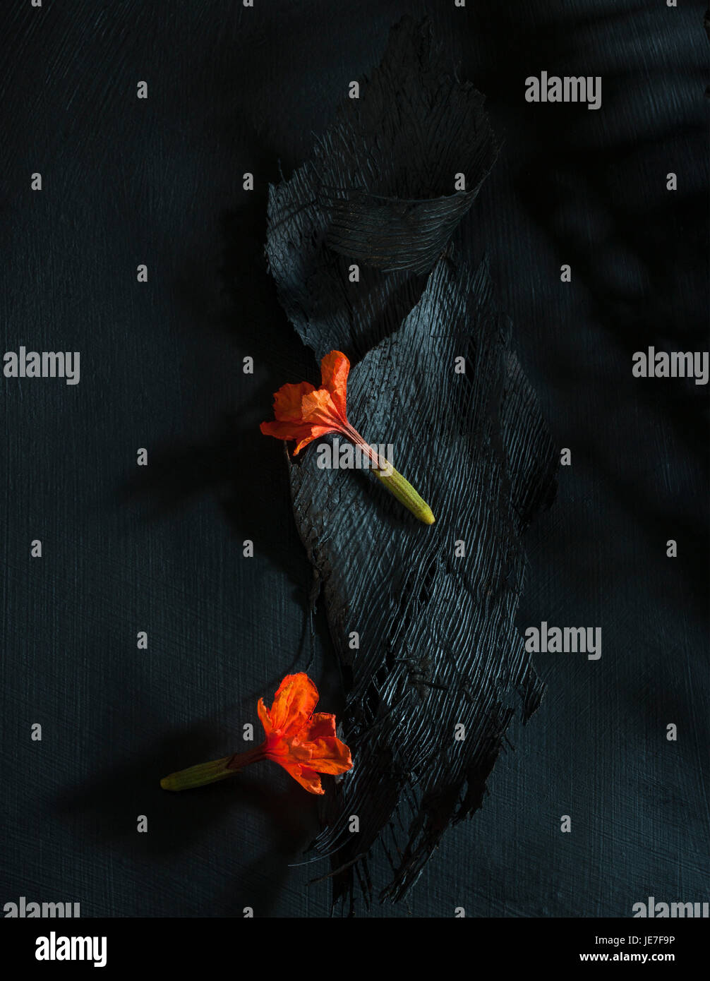 the art of colorful flowers fall Stock Photo - Alamy