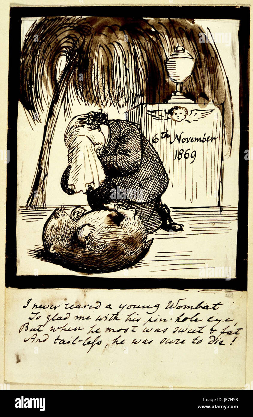 Old wombat hi-res stock photography and images - Alamy