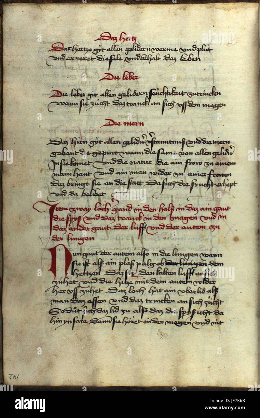 A page from *De Alte Armatur und Ringkunst Talhofer*, a historical text detailing medieval armor ...