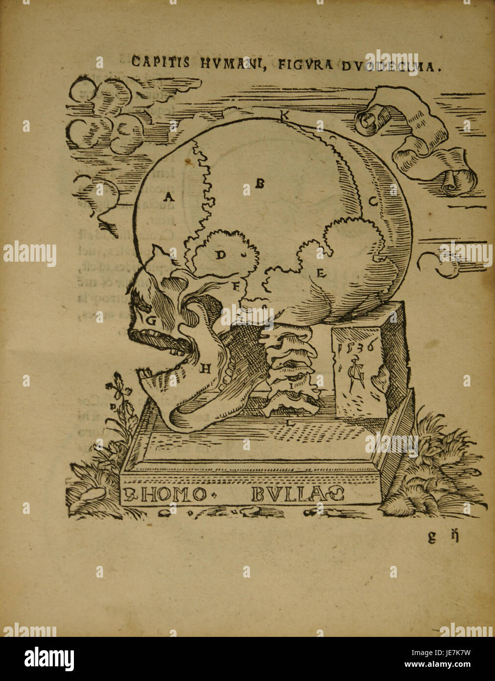Dryander's Anatomiae Pars Prior is a scholarly work on anatomy, likely ...