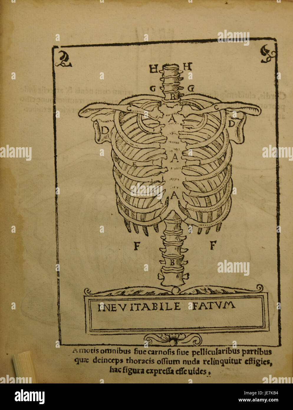 A page from 'Dryander Anatomiae Pars Prior' (Part 1), which contains ...