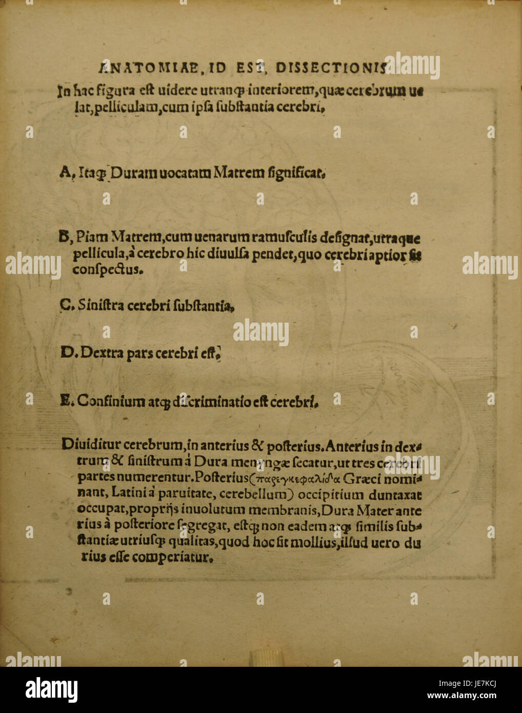 'Dryander Anatomiae Pars Prior' is an anatomical illustration from the ...