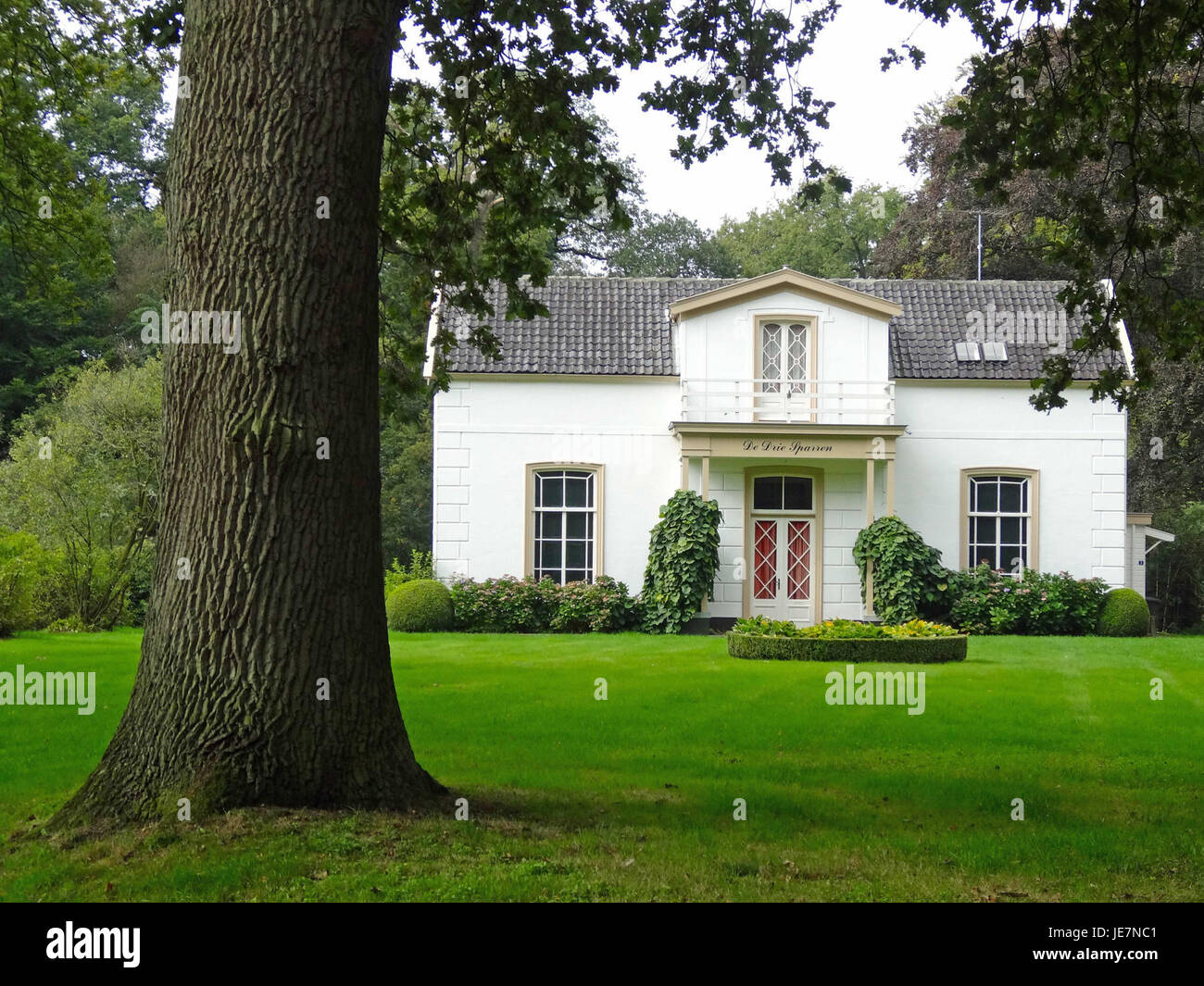 A photo taken on September 23, 2013, of 'De drie sparren' (The Three ...