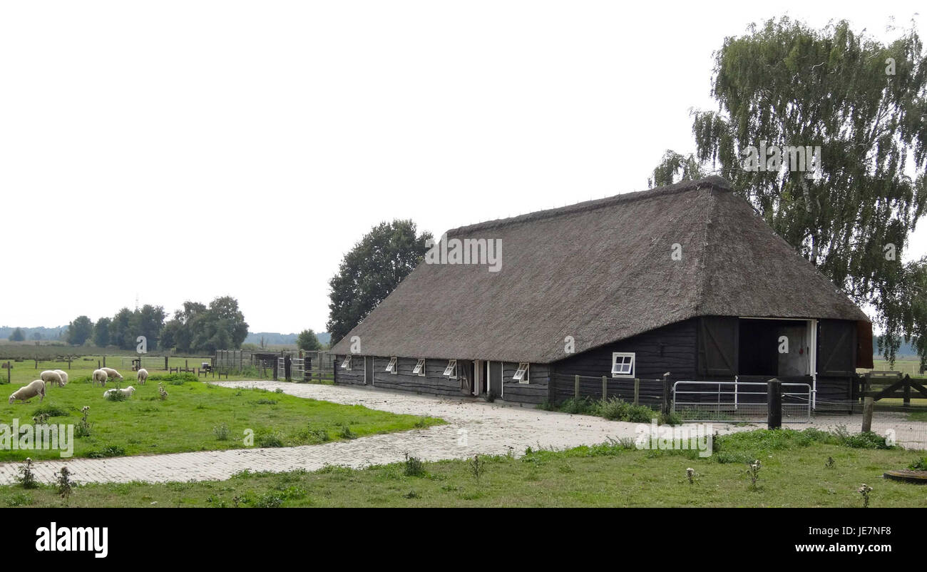 Wierdense hi-res stock photography and images - Alamy