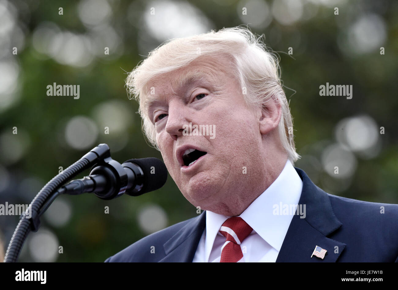 United States President Donald J. Trump speaks during the Congressional ...