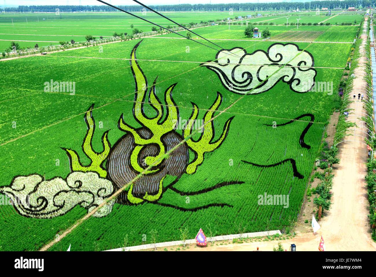 Shenyan, Shenyan, China. 22nd June, 2017. The giant tanbo art picture ...