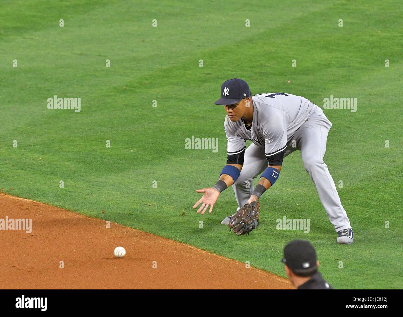 Anaheim, California, USA. 14th June, 2017. Starlin Castro (Yankees) MLB ...