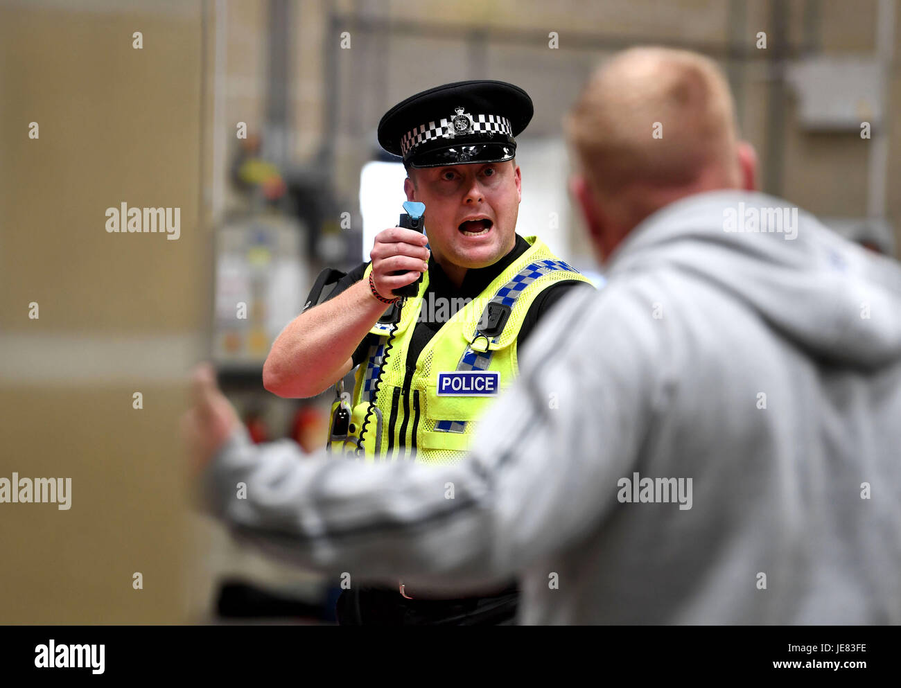 Pava hi-res stock photography and images - Alamy