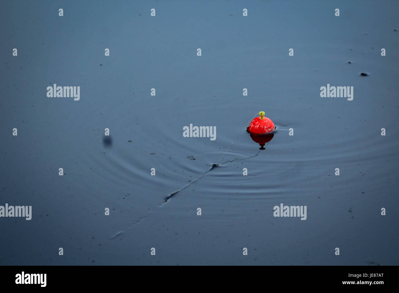 Fishing Bobber in Water Stock Photo - Alamy