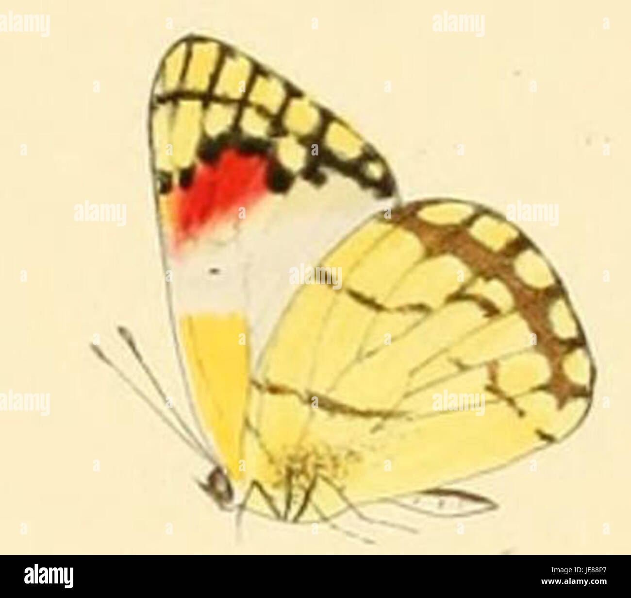 The jewel system hi-res stock photography and images - Alamy