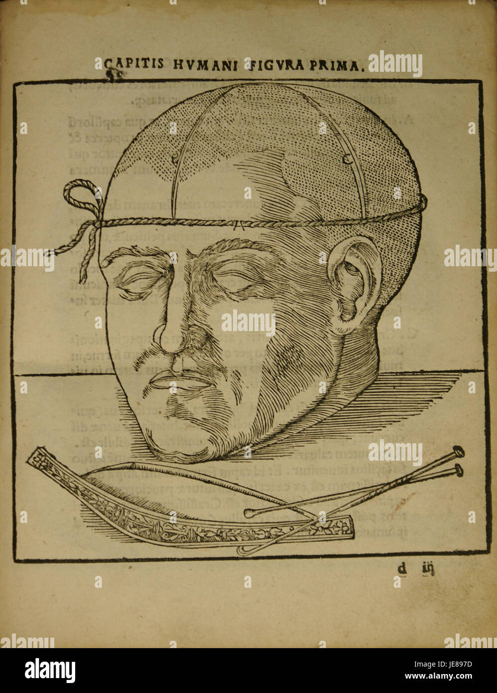 Dryander's 'Anatomiae Pars Prior' is a historical anatomical work from ...