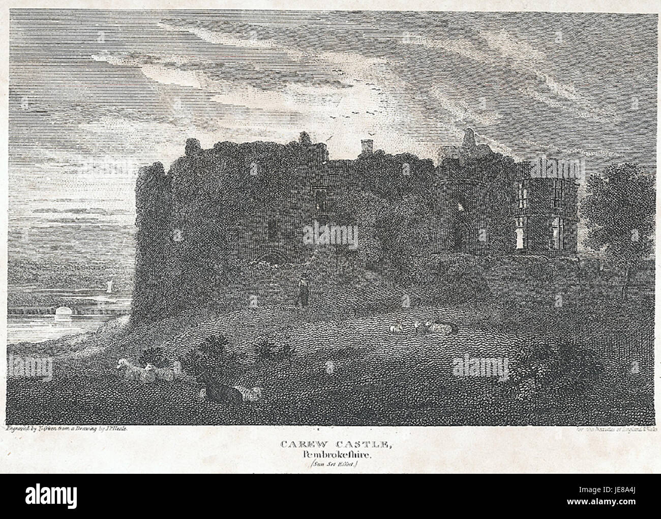 Carew Castle, located in Pembrokeshire, Wales, is a historic fortress ...