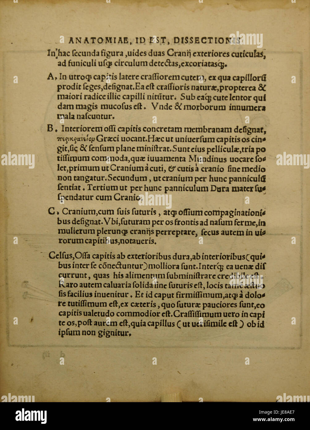 This page from 'Anatomiae Pars Prior' by Dryander illustrates ...