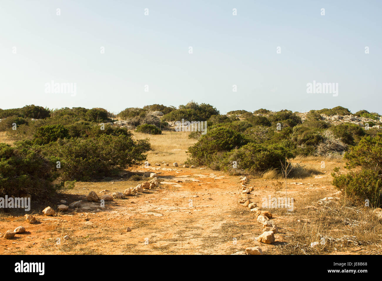 Cyprus desert and sea view with desert plants Stock Photo - Alamy