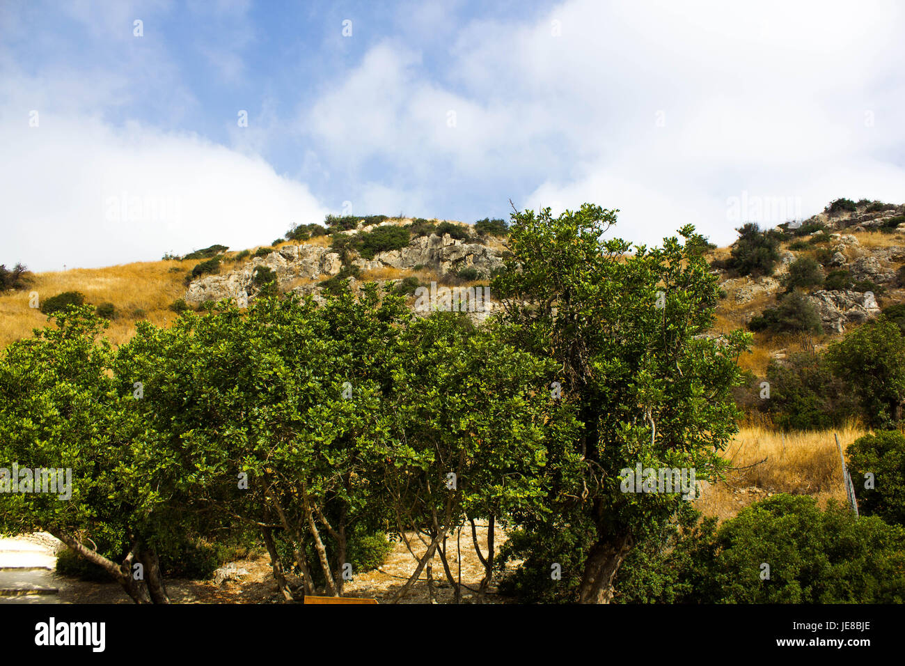 Cypriot desert nature Stock Photo - Alamy
