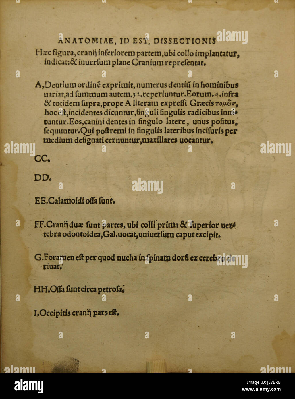 'Anatomiae Pars Prior' by Dryander is a detailed anatomical work ...